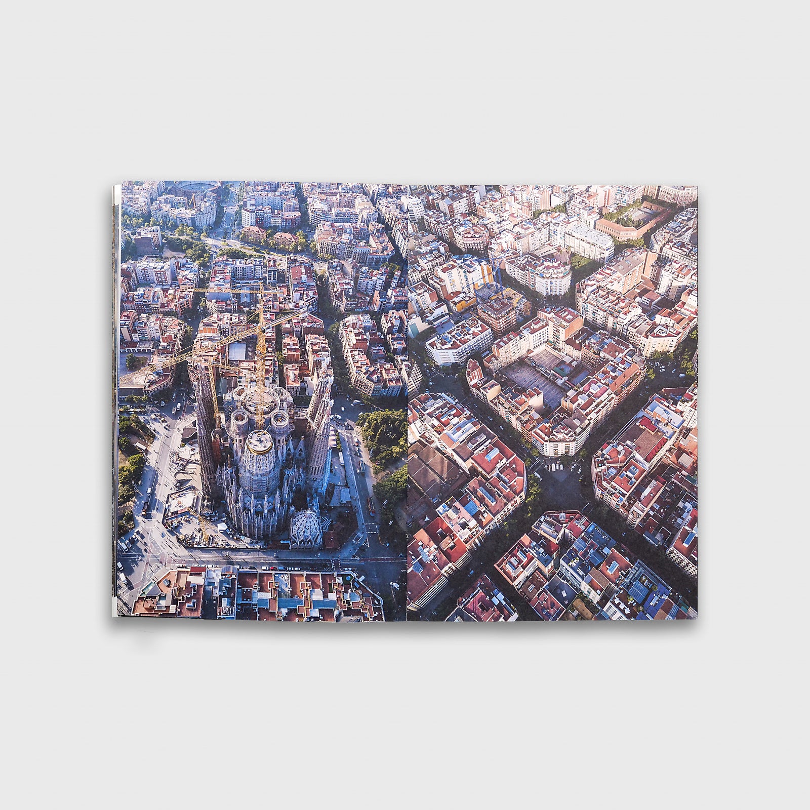 Tobi Shinobi: Equilibrium – Trope Publishing Co